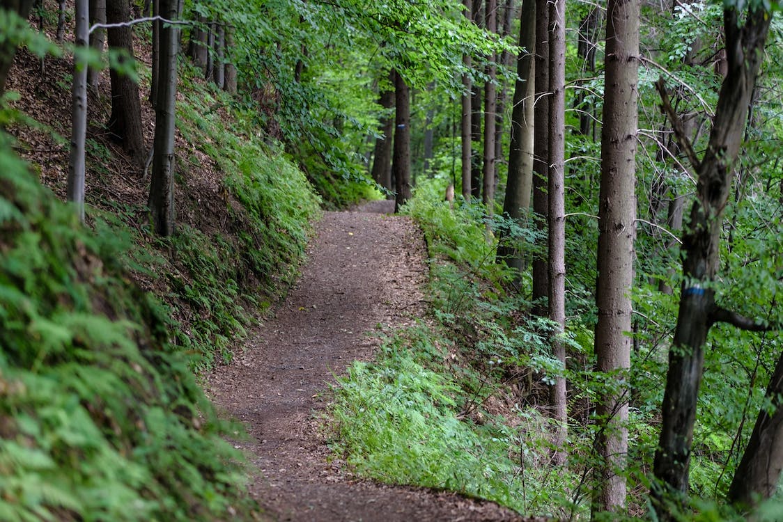 Pour des trails et joggings encore plus durables à Liège | Vert Ardent